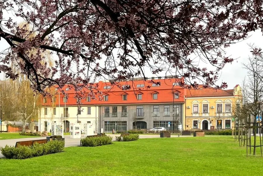 Poseł Krystian - "to opary absurdu" | Wadowice24.pl